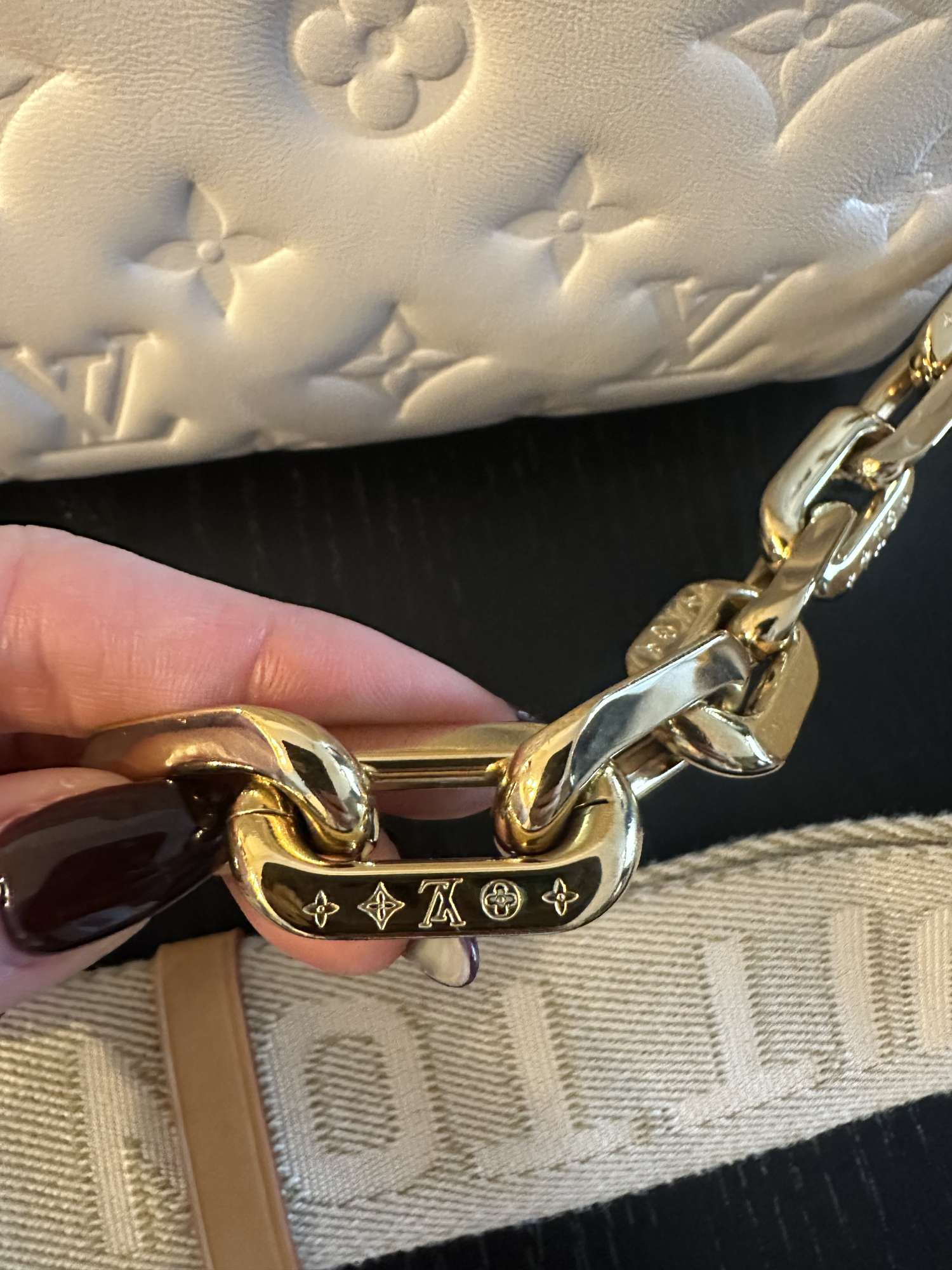 Louis Vuitton Coussin PM bag - VIP LUXURY